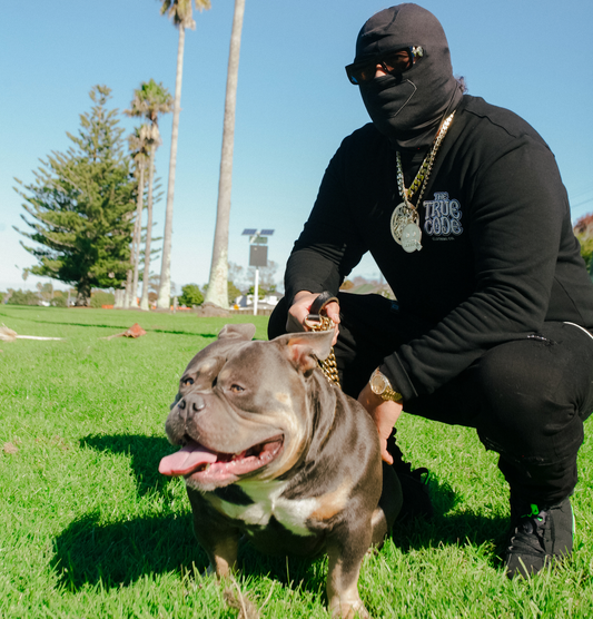 The True Code Clothing